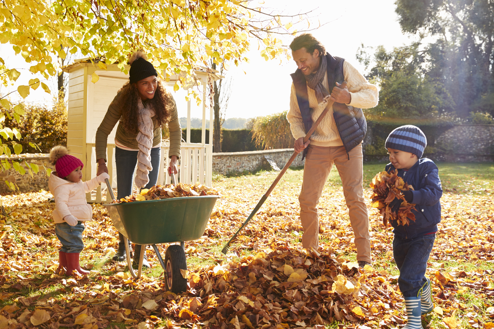 Tips for Protecting Your Joints While Raking Leaves