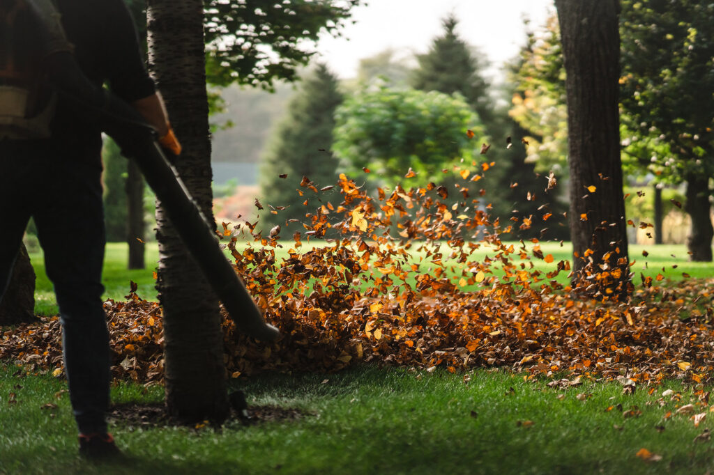 Tips for Protecting Your Joints While Raking Leaves